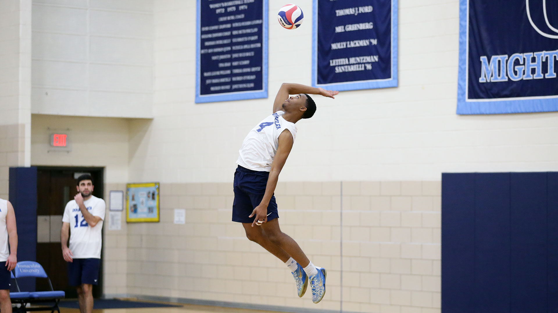 John Bohrer - Men's Volleyball - Immaculata University Athletics