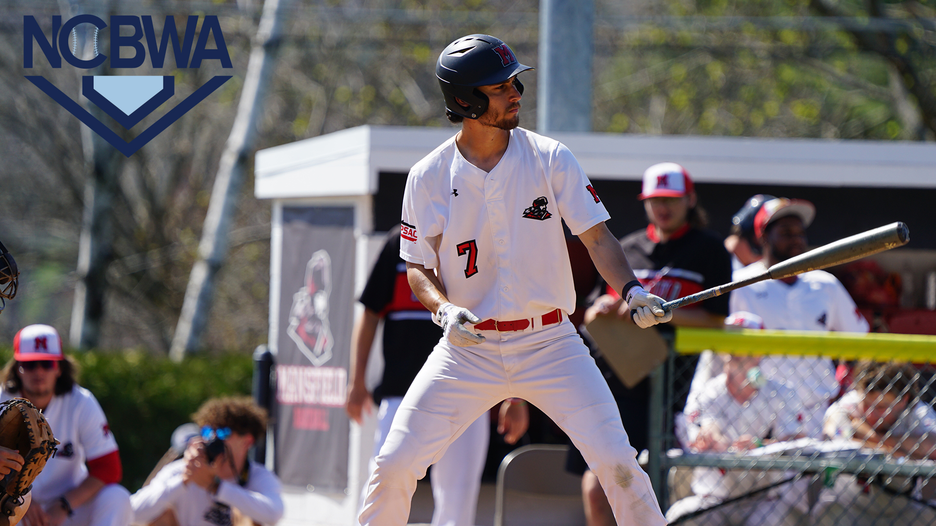 Assaf Lowengart - Baseball - Mansfield University Athletics