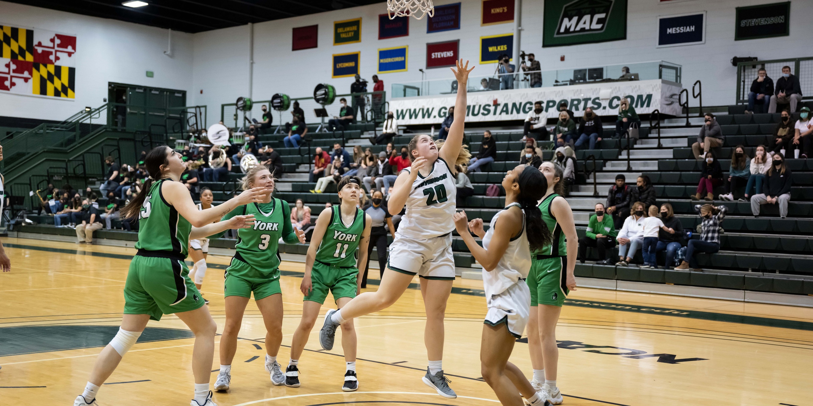 No. 13 Falcons Fly Past Mustangs - Stevenson University