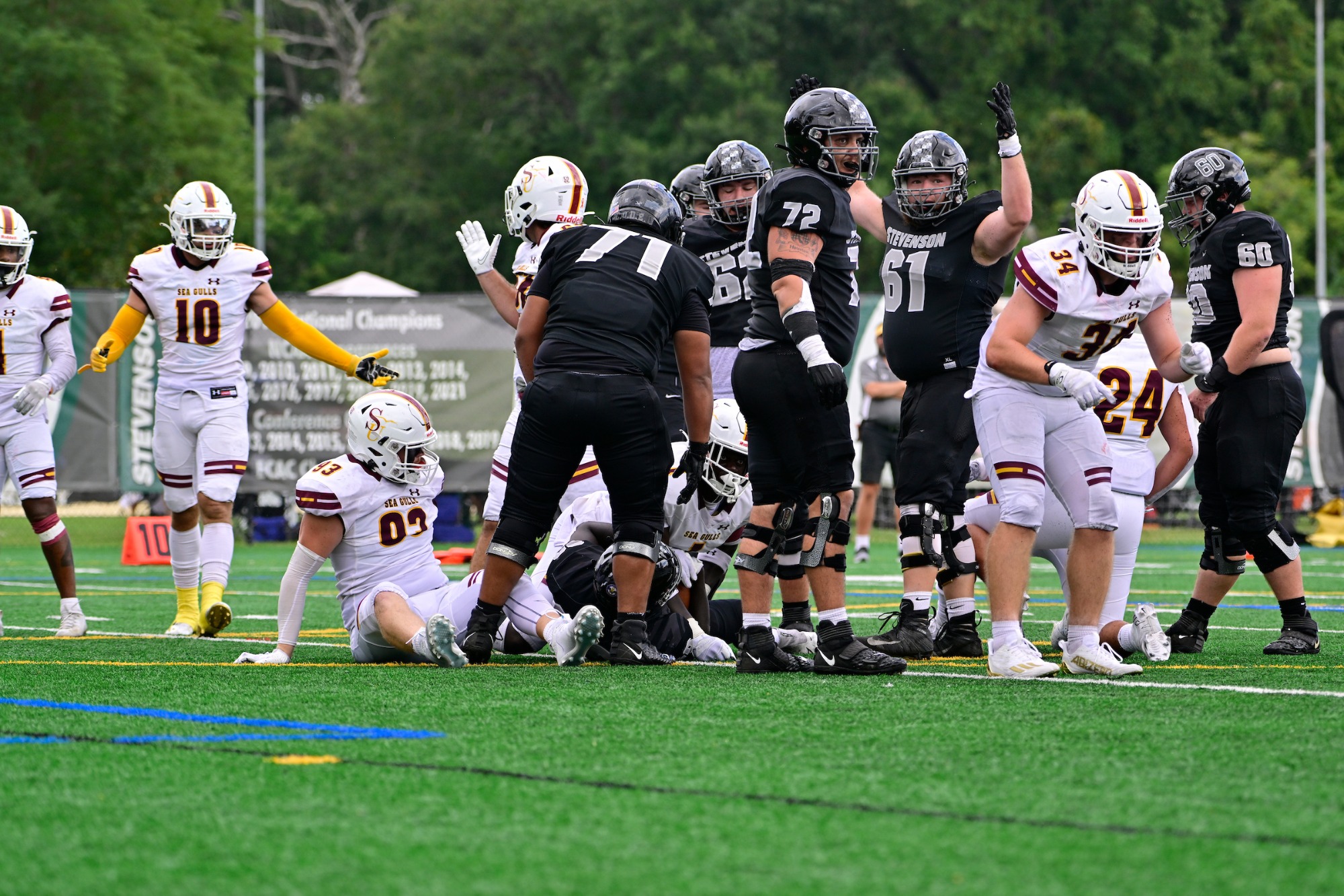 Joe Pena - 2022 - Football - Stevenson University