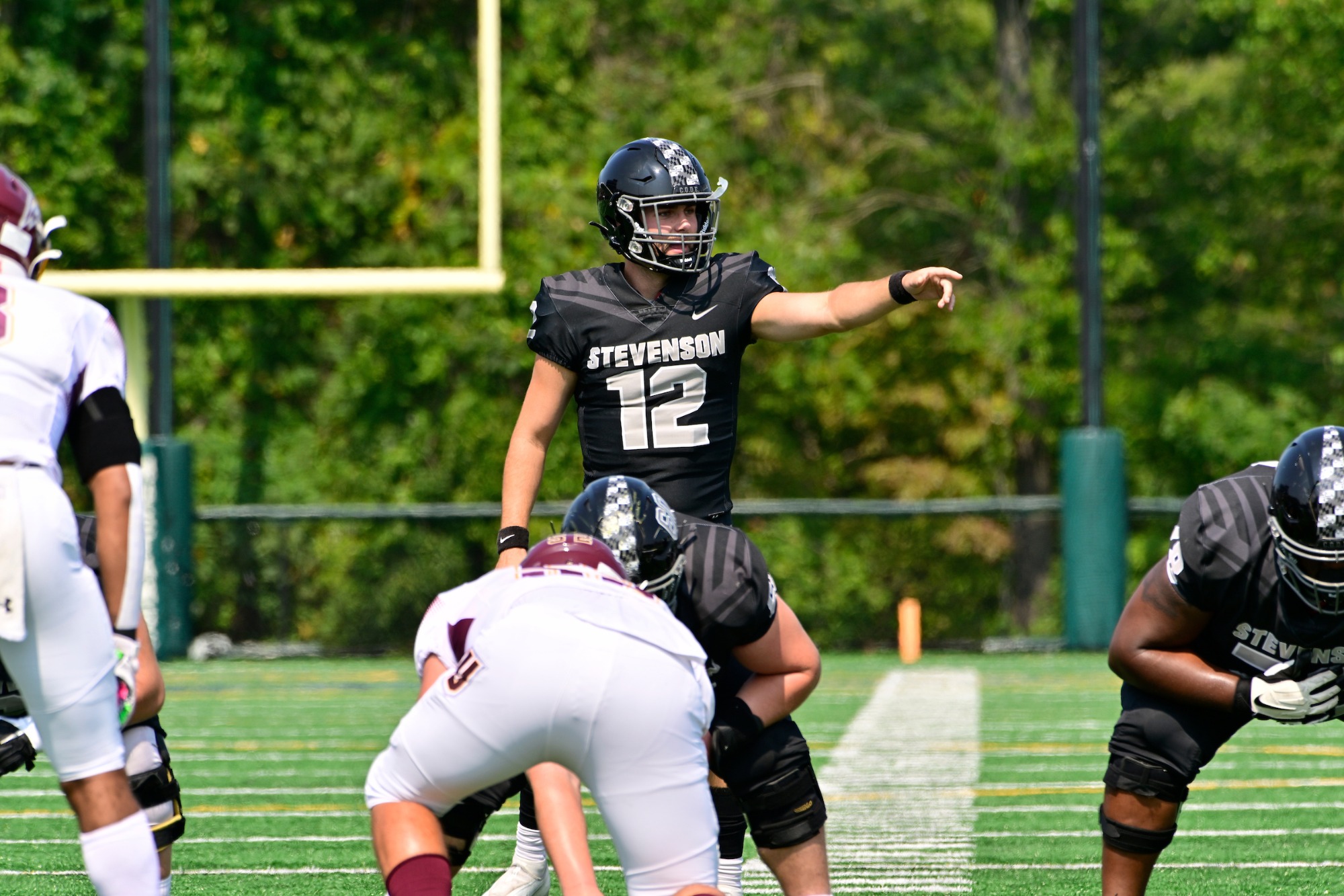 Ryan Sedgwick - 2022 - Football - Stevenson University