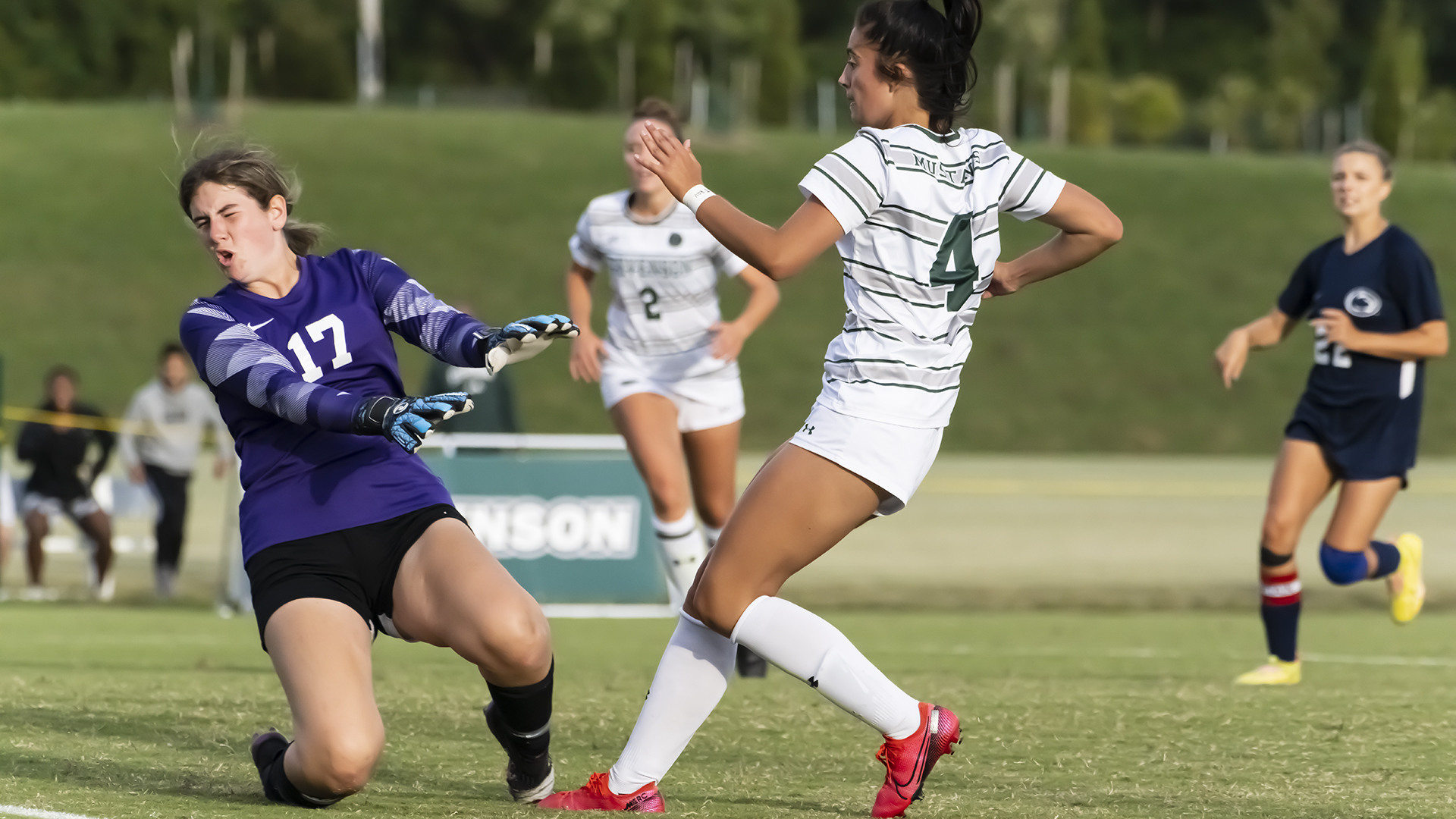 Kylie DonBullian - 2023 - Women's Soccer - Stevenson University