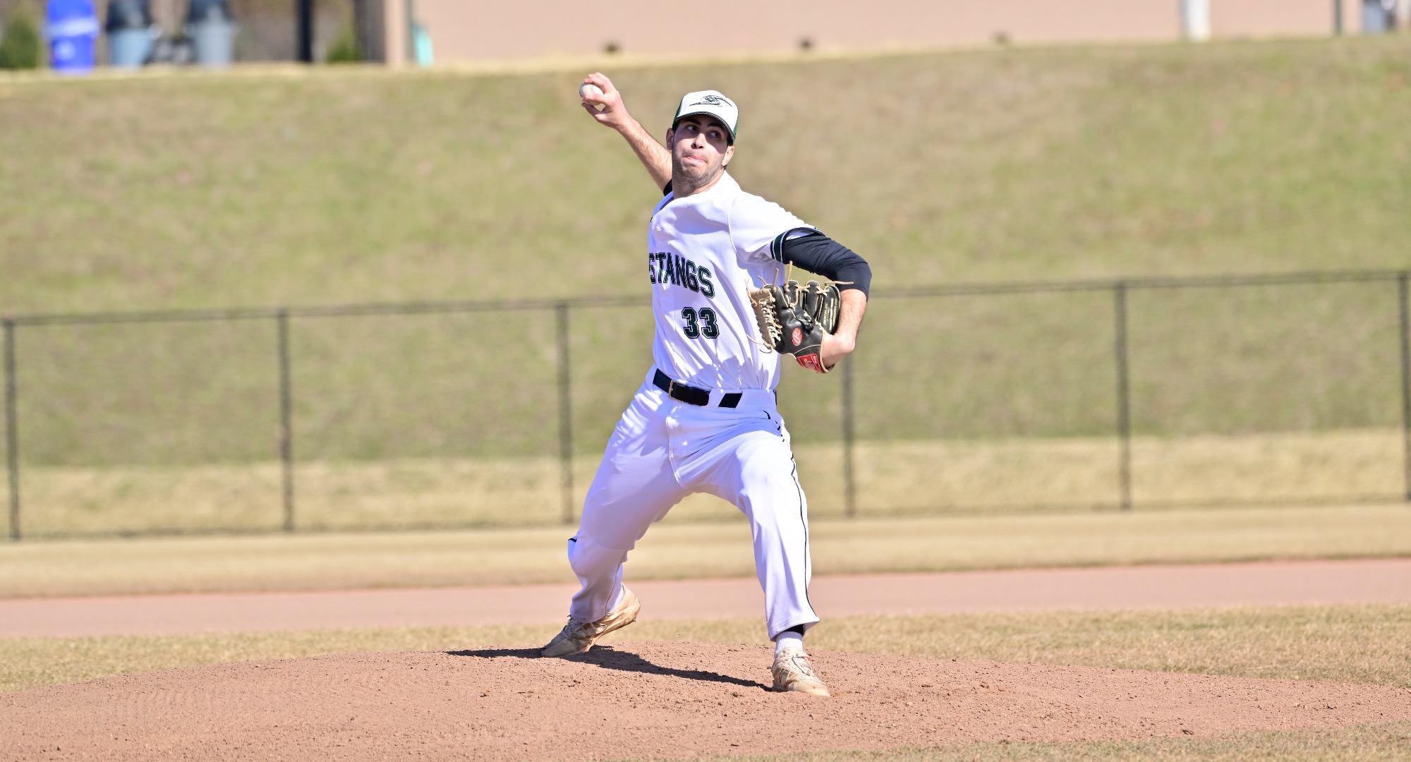 Matt Reich - 2023 - Baseball - Stevenson University