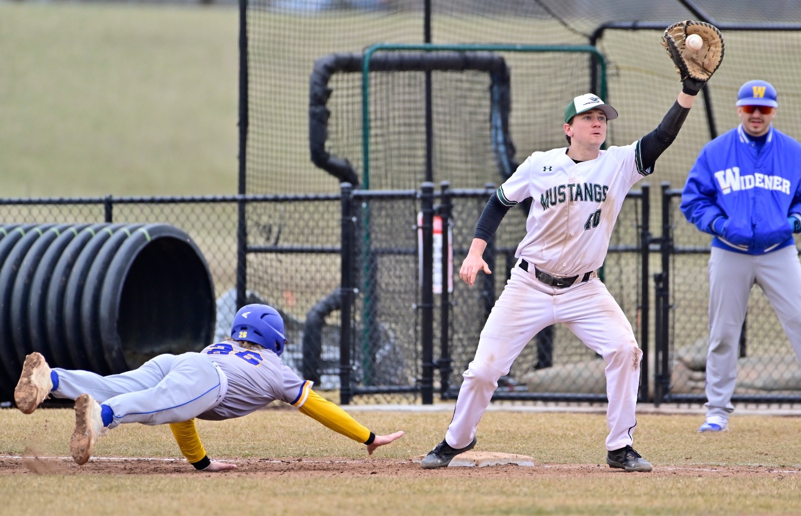 Elliott Schilpp - 2023 - Baseball - Stevenson University