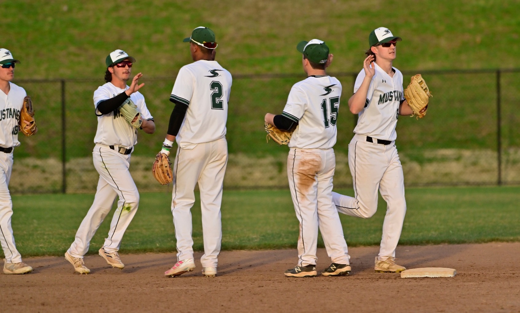 Dylan Young - 2023 - Baseball - Stevenson University