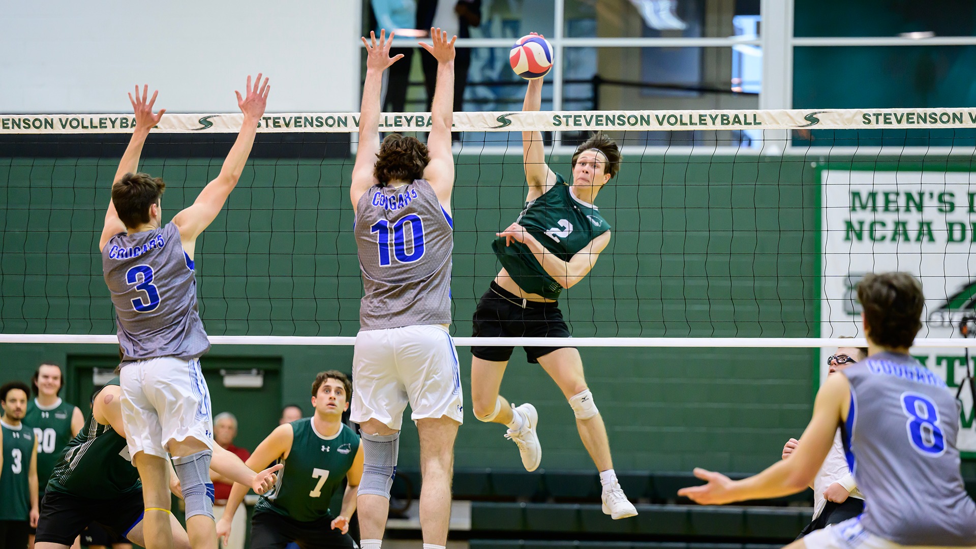 Misericordia out slugs Men's Volleyball in MAC Playoffs - Stevenson ...