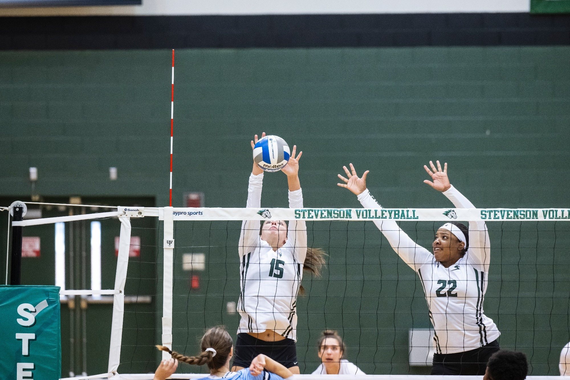 Darian Dildy - 2023 - Women's Volleyball - Stevenson University