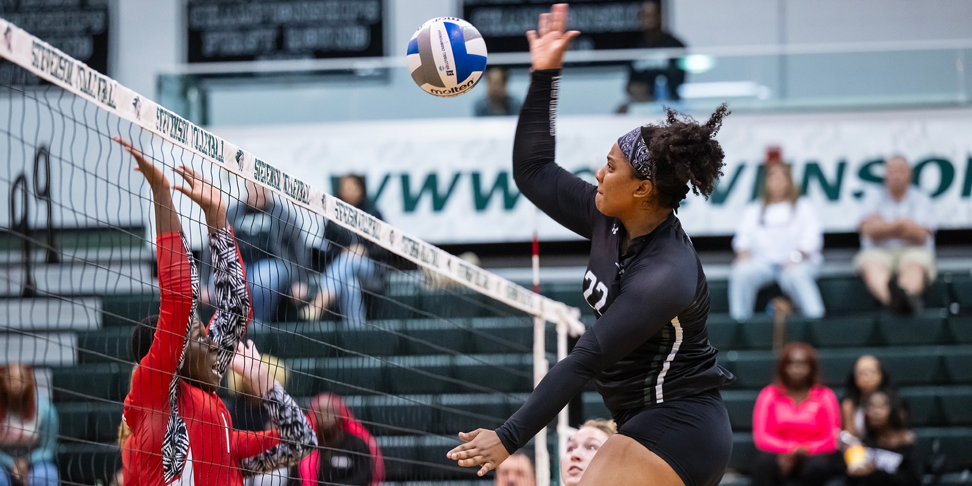 Darian Dildy - 2023 - Women's Volleyball - Stevenson University