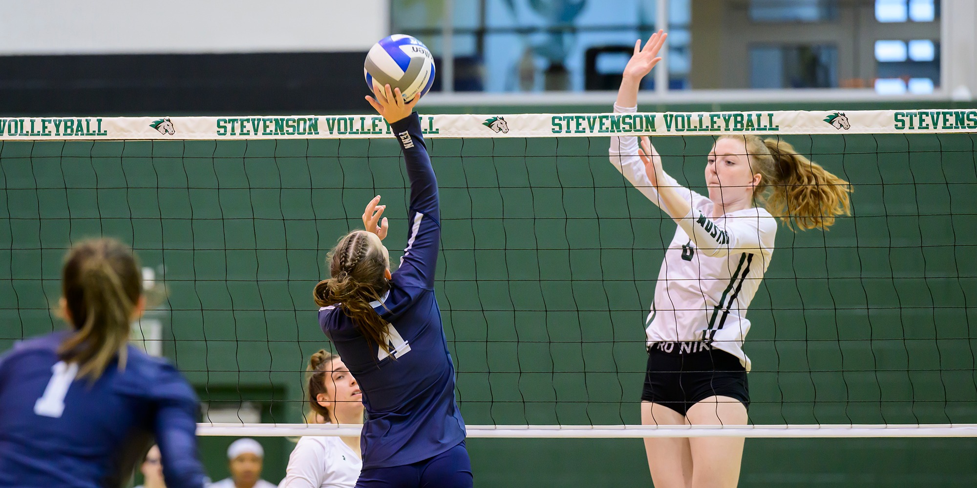 Haley Hoover - 2023 - Women's Volleyball - Stevenson University