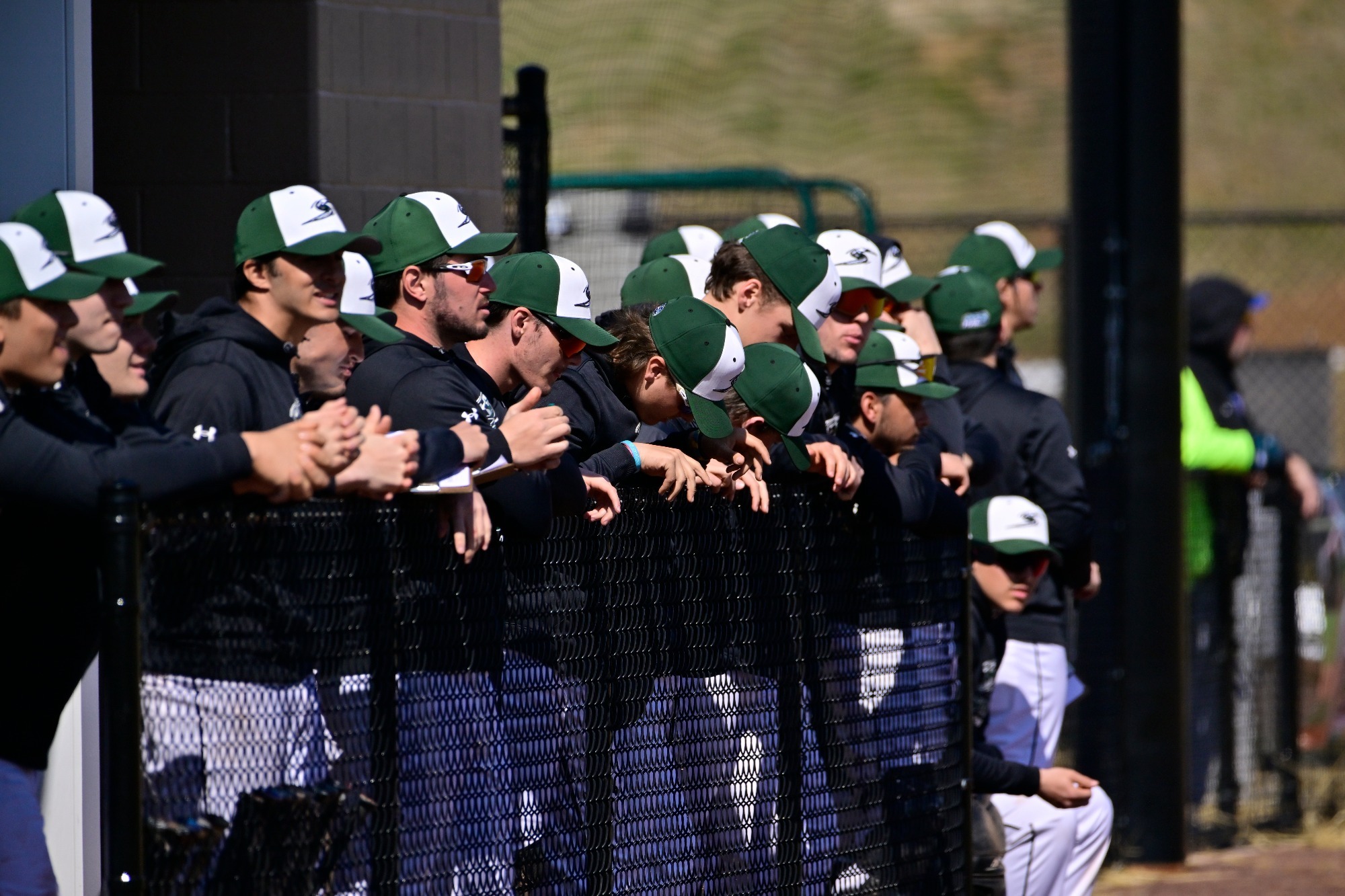 Baseball opens home slate with 7-6 win over Lesley - Stevenson University