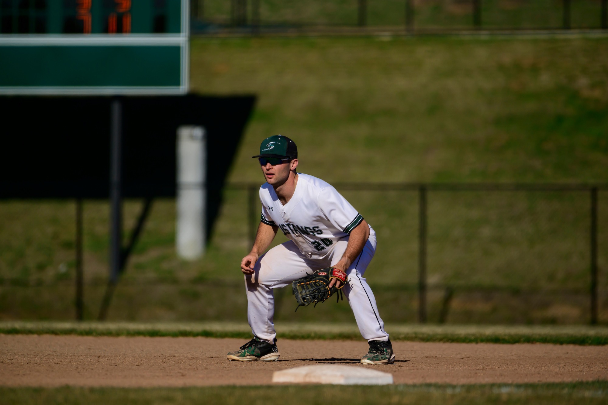 Nick Tamberino - 2024 - Baseball - Stevenson University