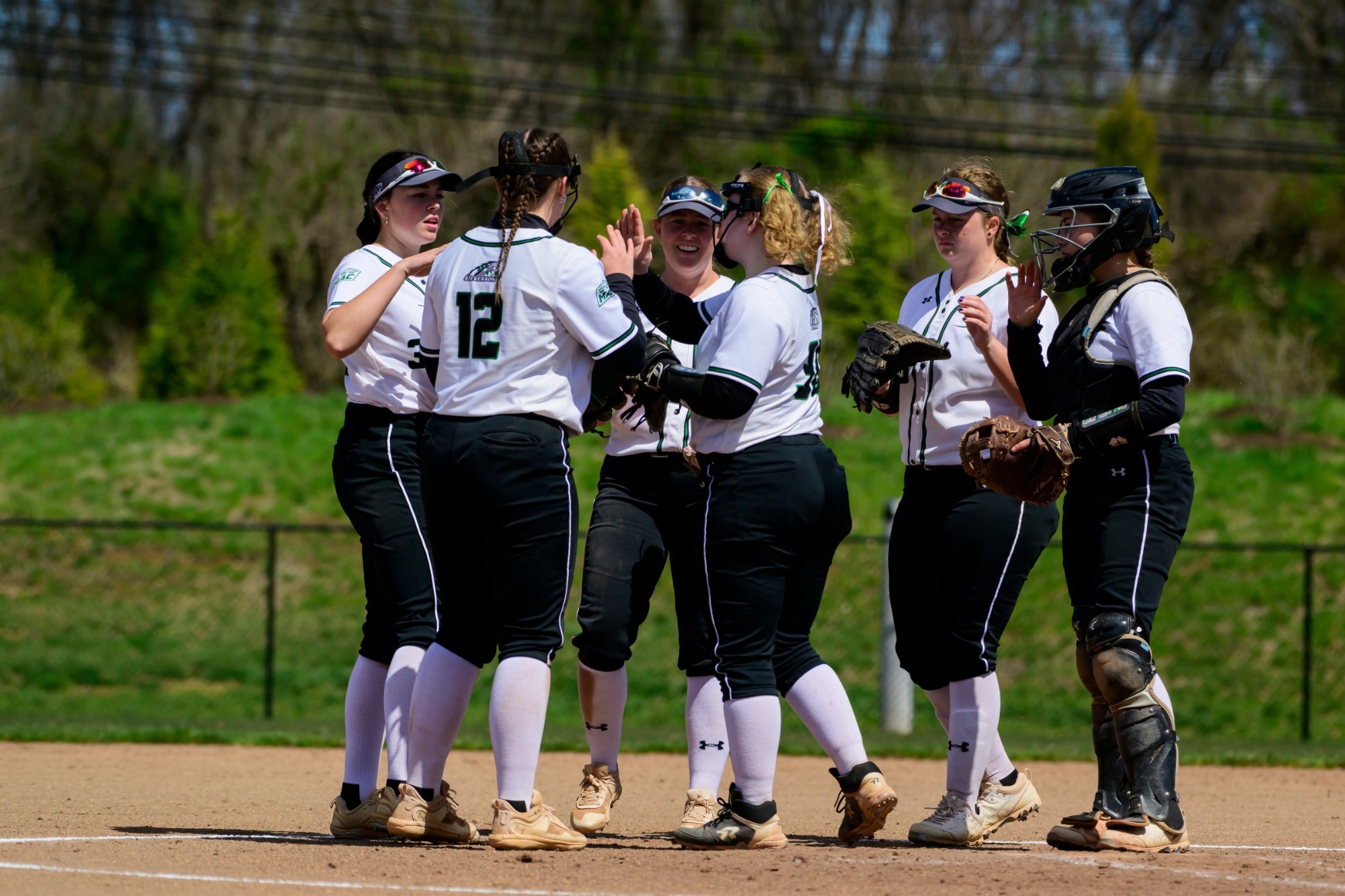 Softball swept by McDaniel - Stevenson University