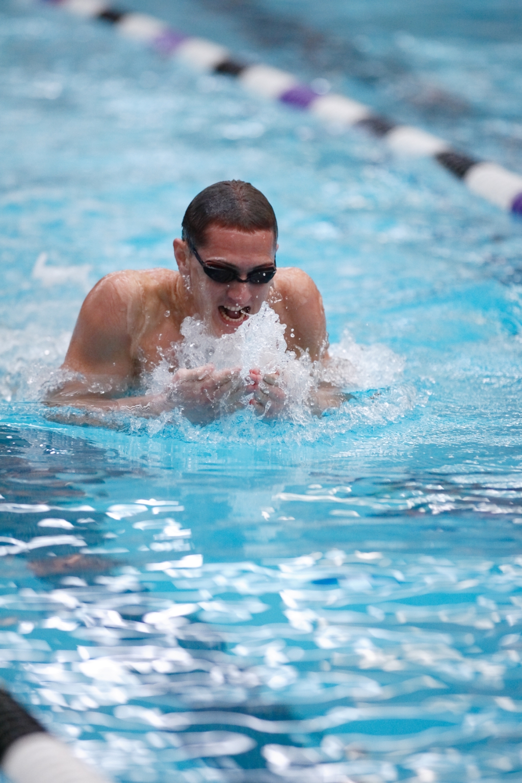 Bryson Naylor - 2011-12 - Men's Swimming & Diving - NYU Athletics