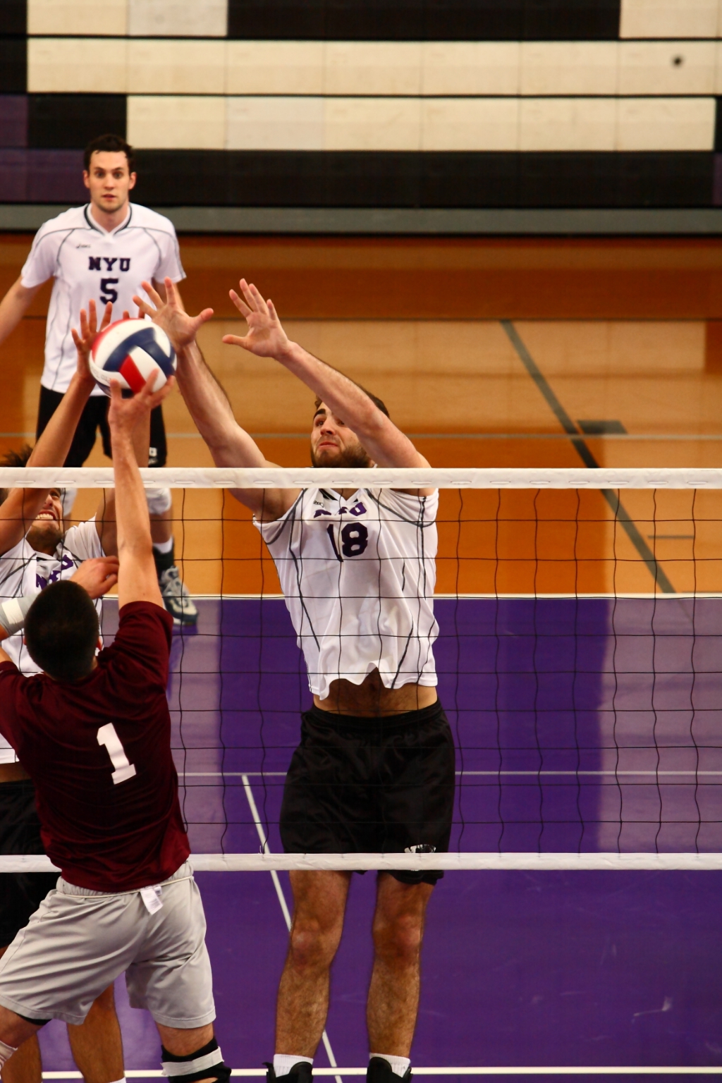 Ori Oren - 2011 - Men's Volleyball - NYU Athletics