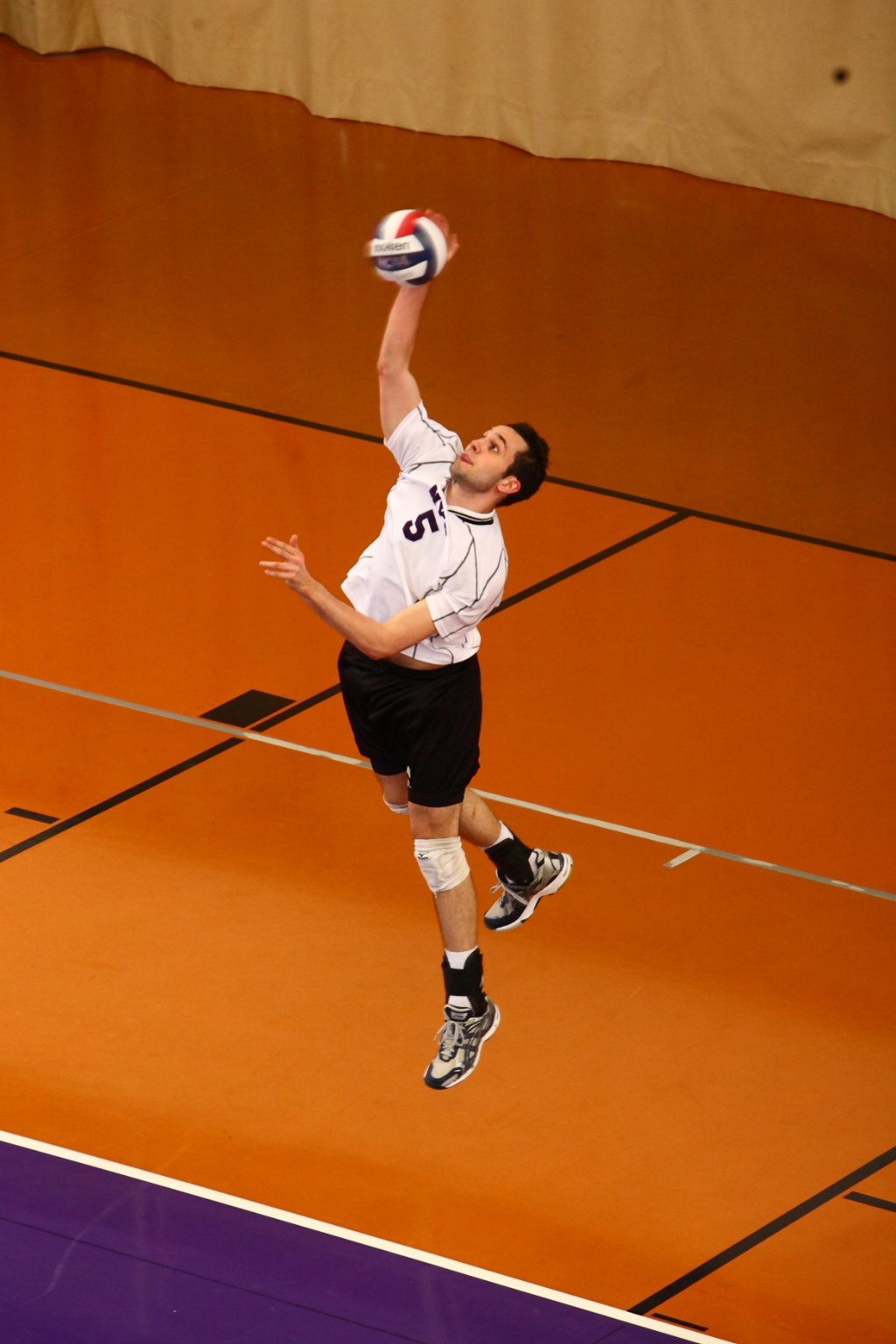 Taylor Donovan - 2011 - Men's Volleyball - NYU Athletics