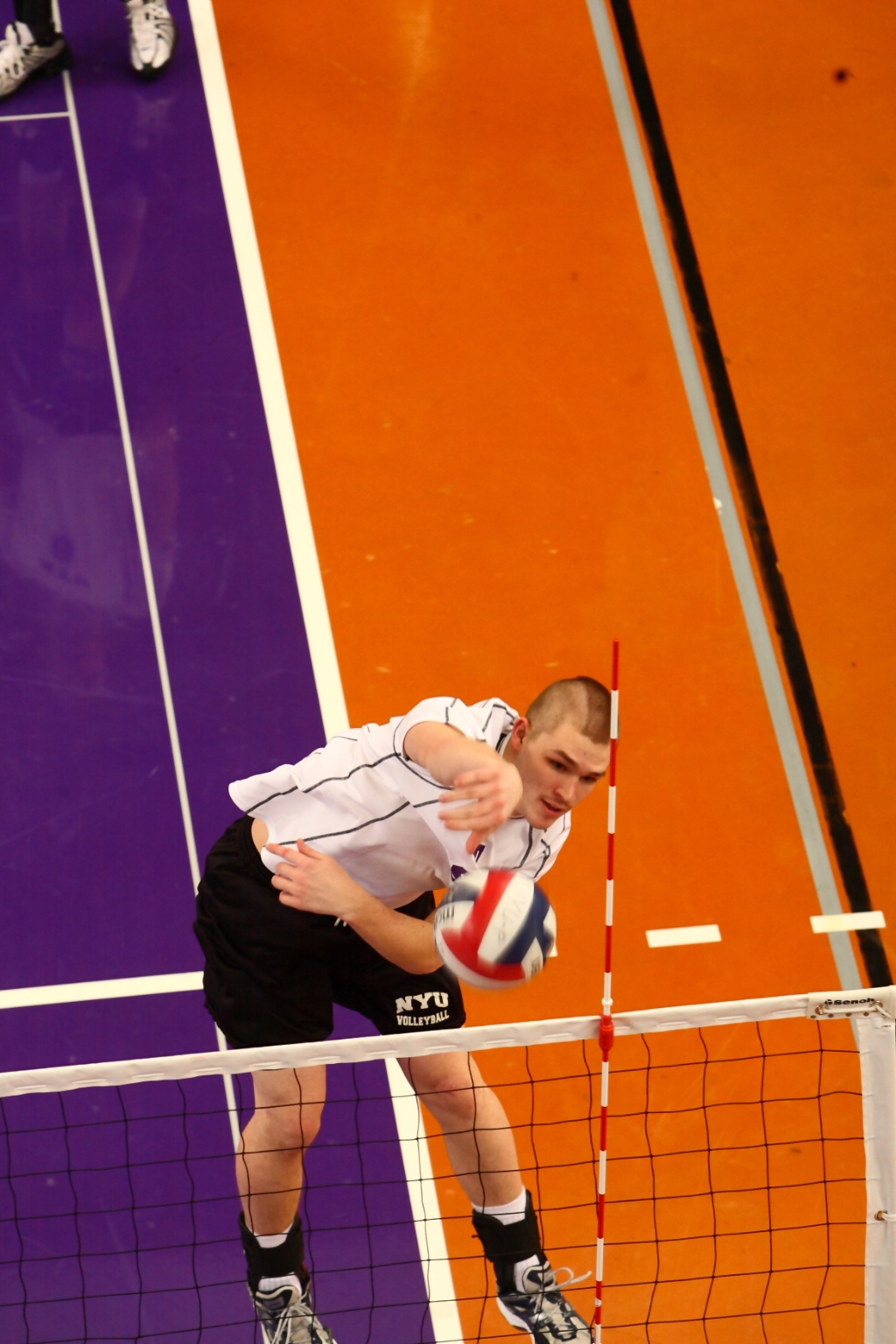 George Koch - 2013 - Men's Volleyball - NYU Athletics