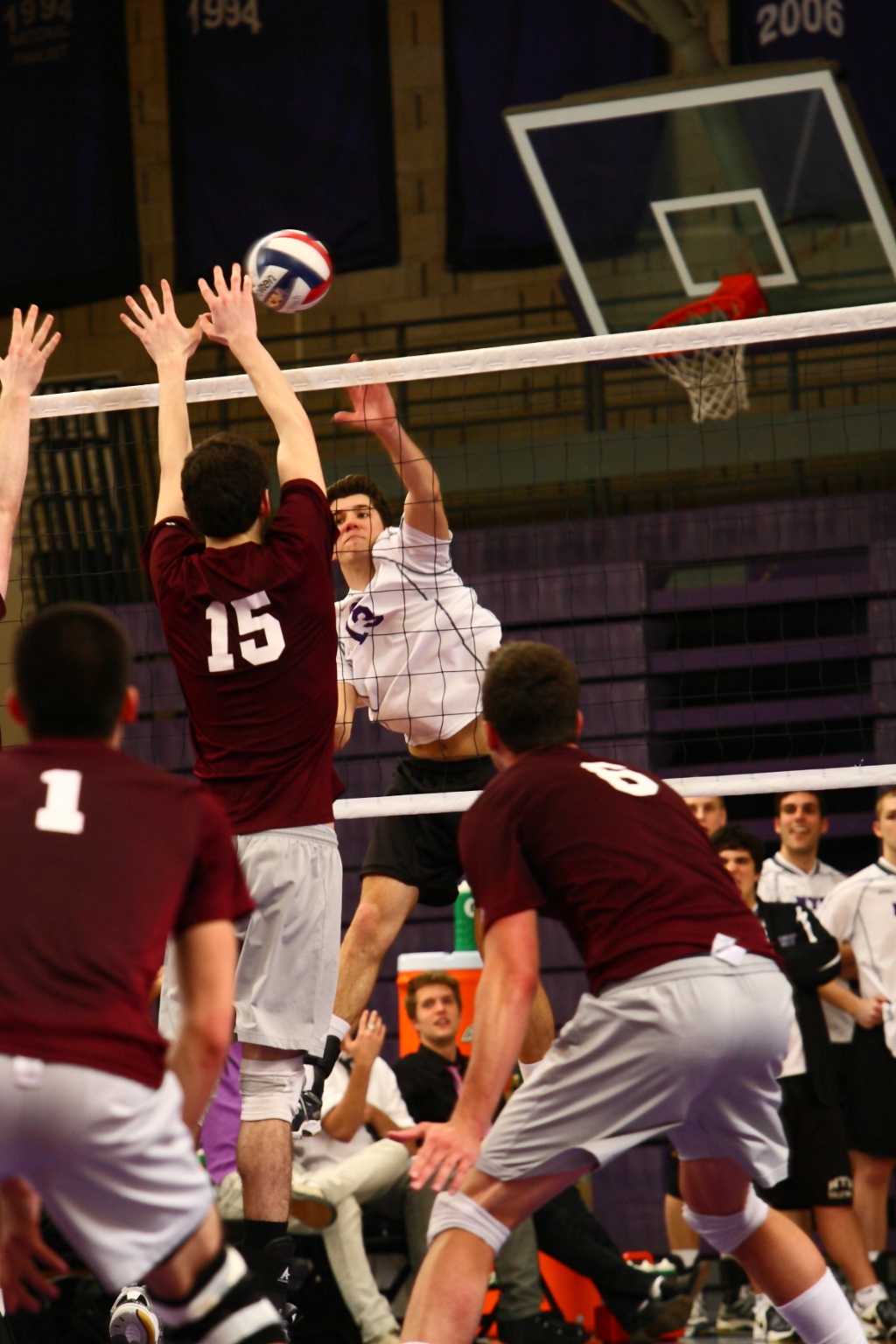 Taylor Donovan - 2011 - Men's Volleyball - NYU Athletics
