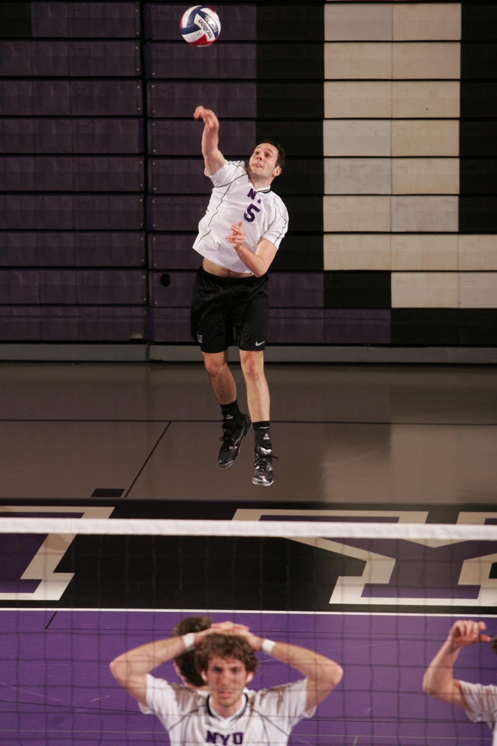 Pat Dodd - 2012 - Men's Volleyball - NYU Athletics