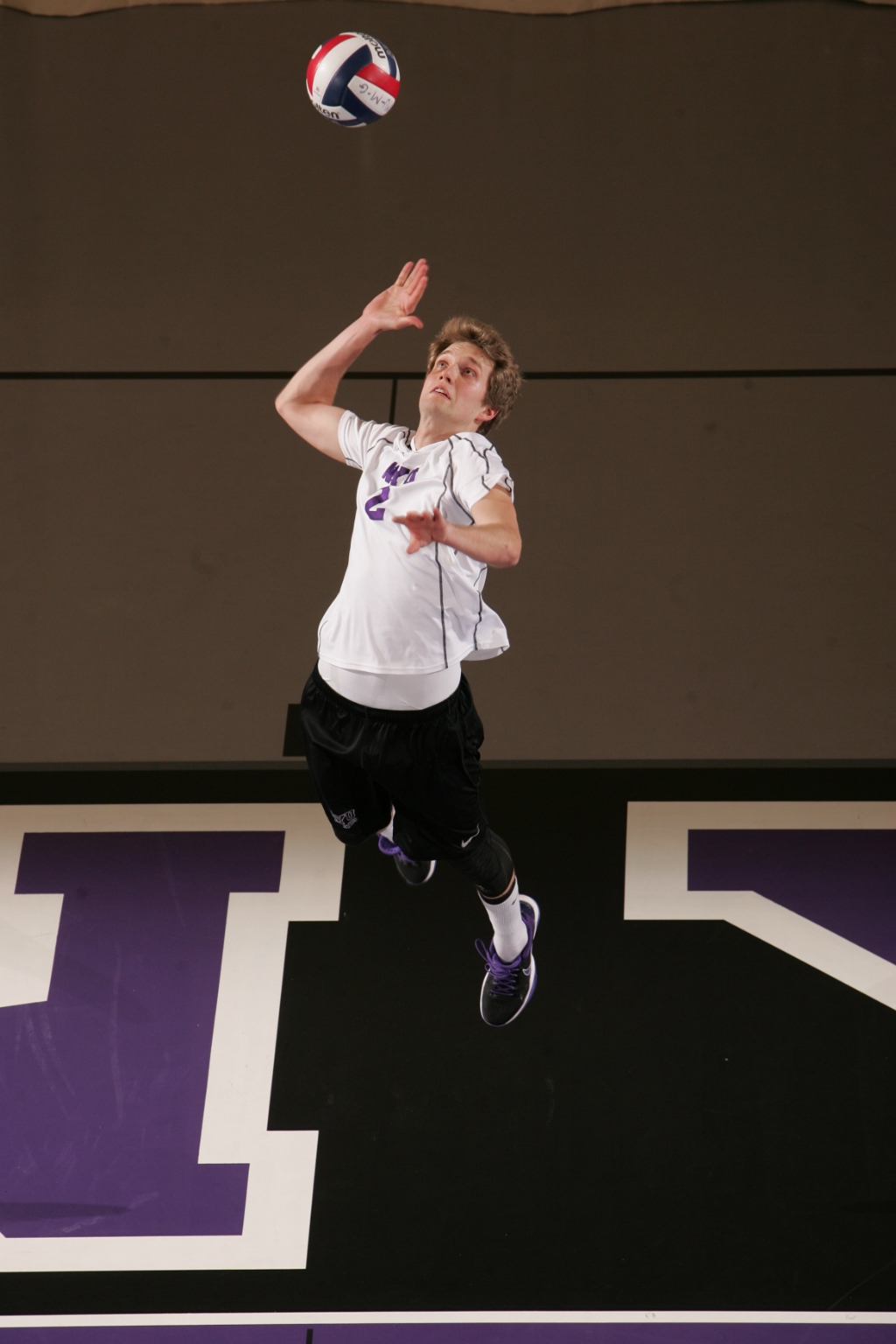 Taylor Fauntleroy - 2012 - Men's Volleyball - NYU Athletics