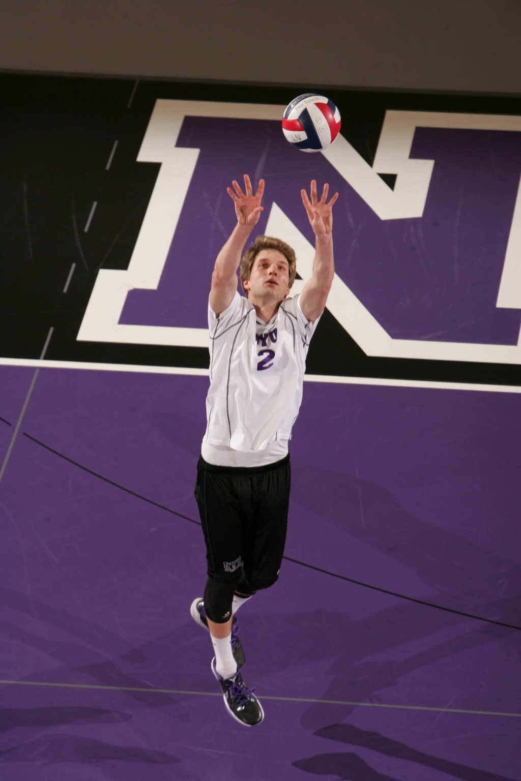 Taylor Fauntleroy - 2012 - Men's Volleyball - NYU Athletics