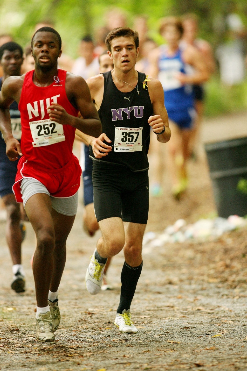 Zac Kish - 2014 - Men's Cross Country - NYU Athletics