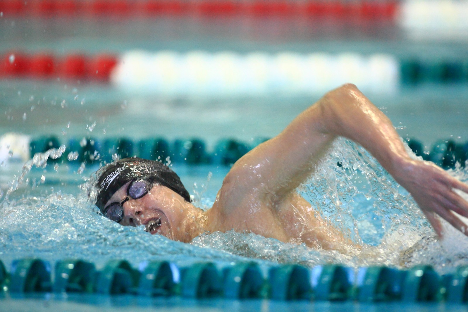Frank Bozzi - 2015-16 - Men's Swimming & Diving - NYU Athletics