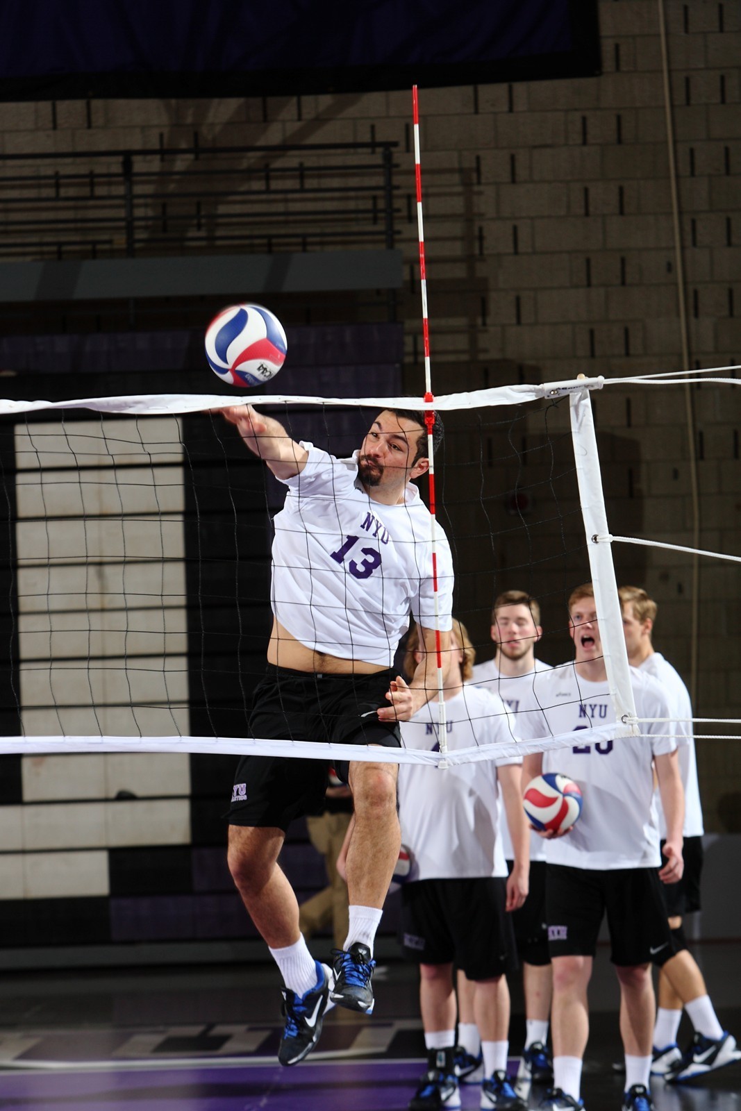 Arya Amirhekmat - 2015 - Men's Volleyball - NYU Athletics