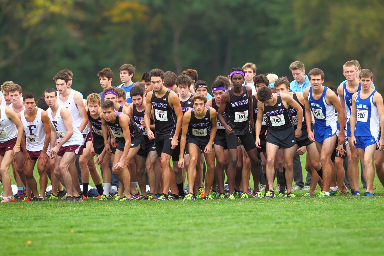 Tanner McMahon - 2015 - Men's Cross Country - NYU Athletics