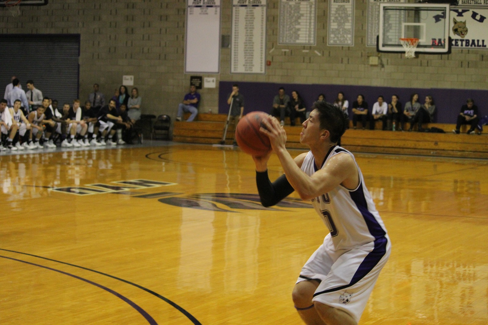 Adam Xu - 2013-14 - Men's Basketball - NYU Athletics