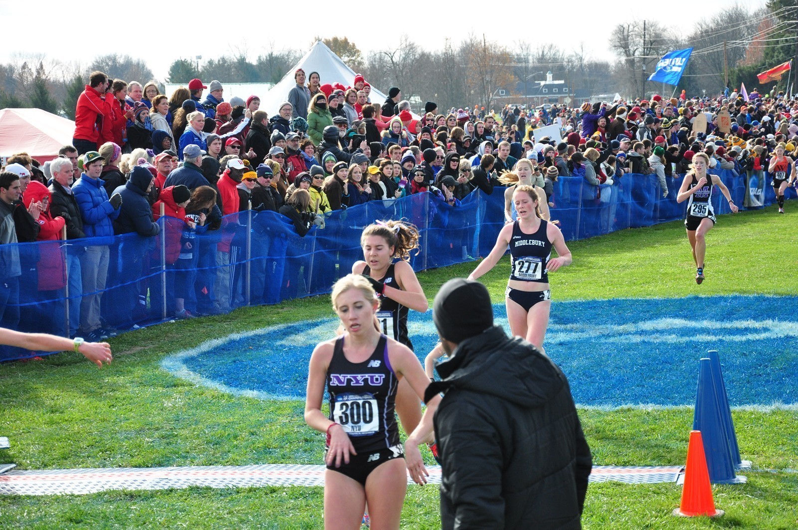 Lily Corsaro - 2015 - Women's Cross Country - NYU Athletics