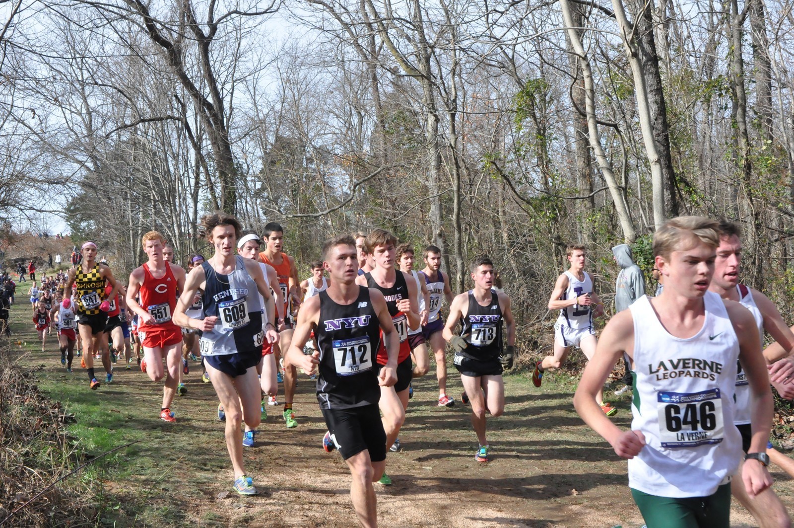 Herbert Gates - 2014 - Men's Cross Country - NYU Athletics