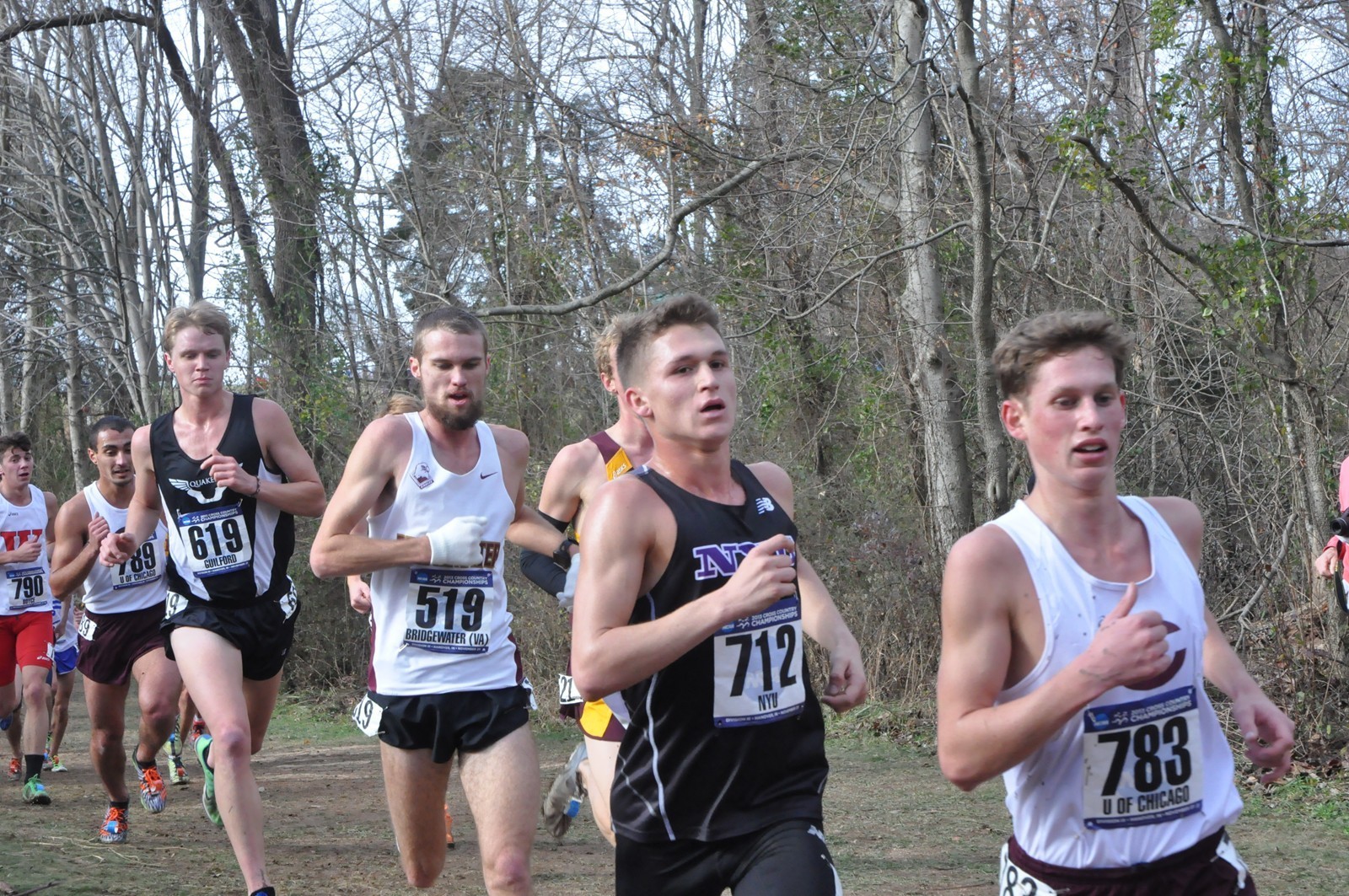 Herbert Gates - 2014 - Men's Cross Country - NYU Athletics