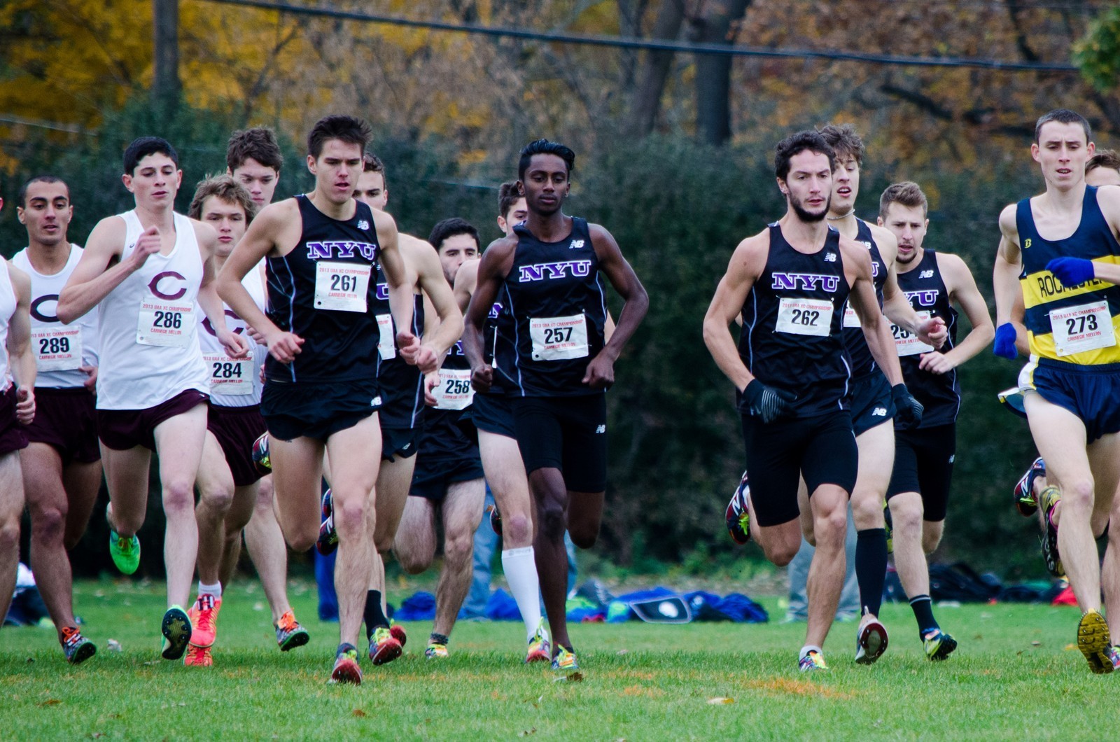 Sebastian Oja - 2014 - Men's Cross Country - NYU Athletics