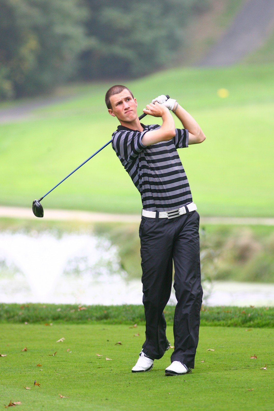 Tanner Swanson - 2012-13 - Men's Golf - NYU Athletics