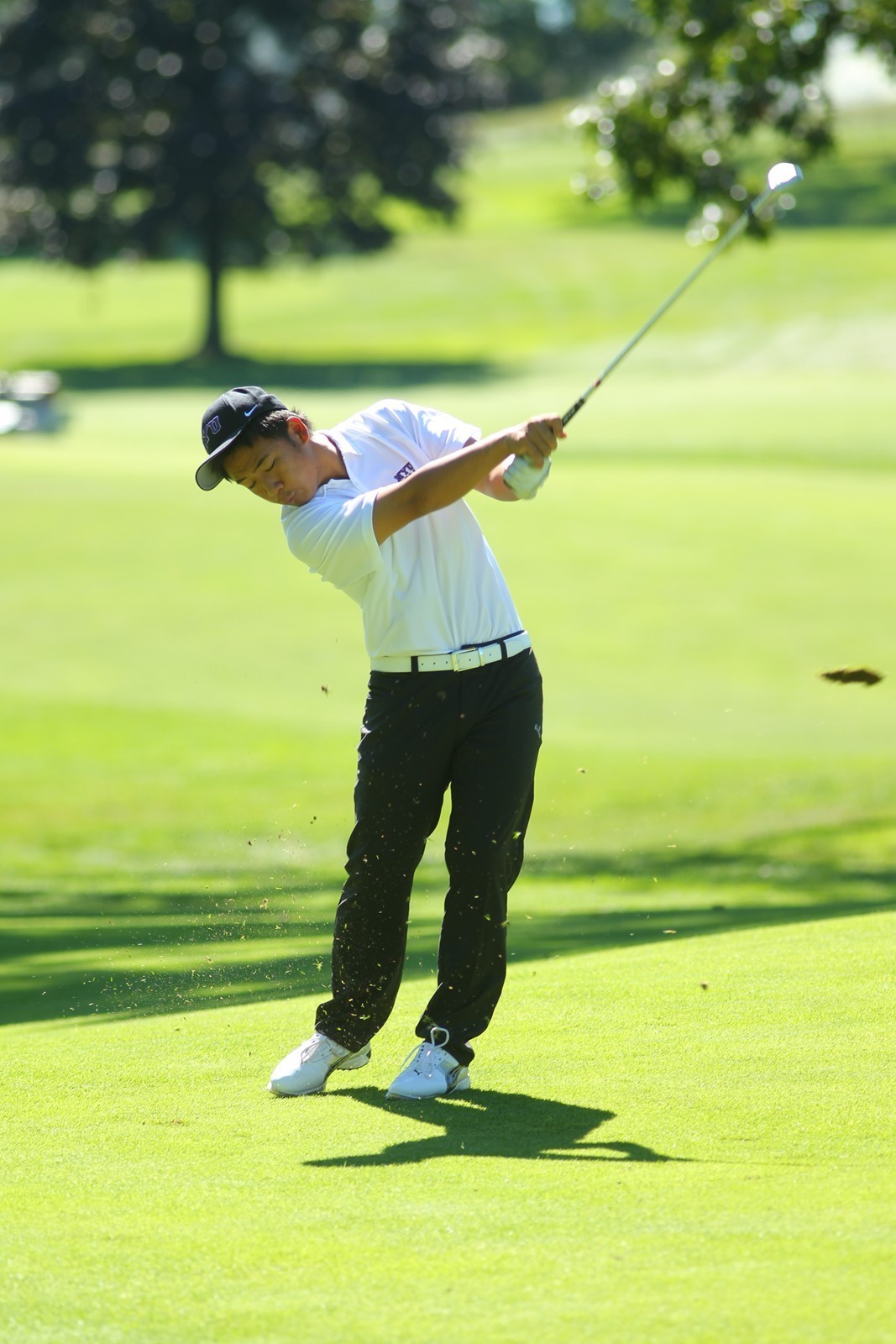 Owen Lin - 2013-14 - Men's Golf - NYU Athletics