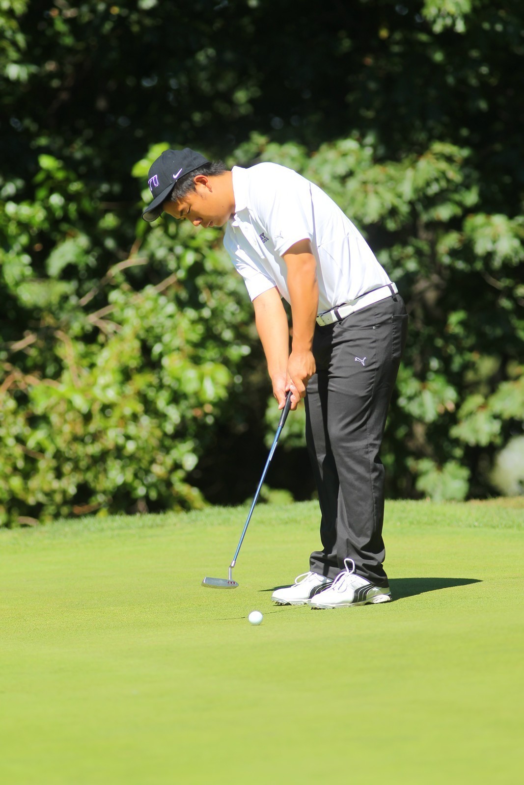 Owen Lin - 2013-14 - Men's Golf - NYU Athletics
