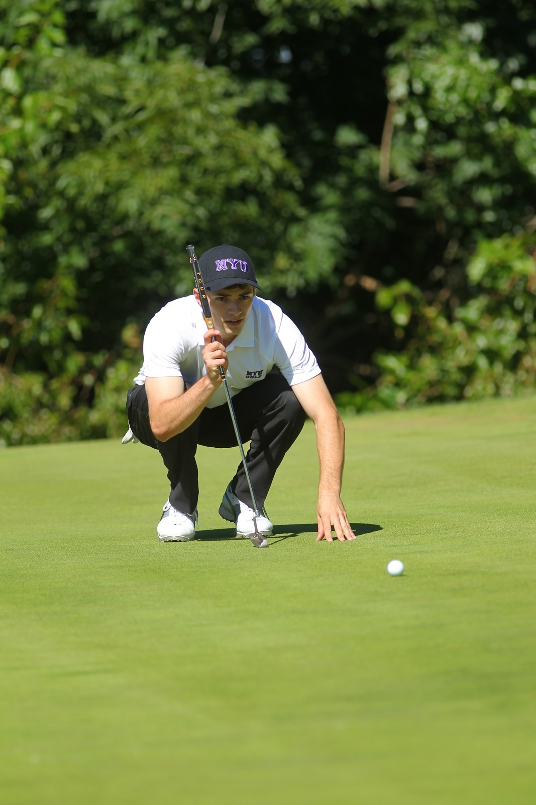 Cody Ball - 2013-14 - Men's Golf - NYU Athletics