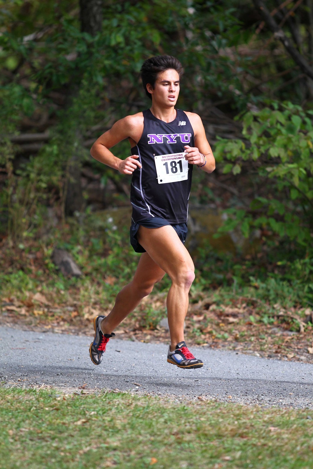 Daniel Rieger - 2015 - Men's Cross Country - NYU Athletics