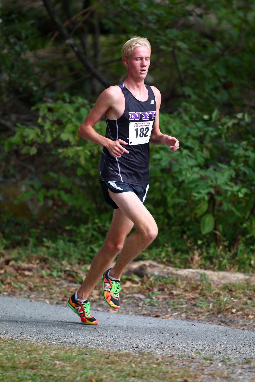 Neil Saddler - 2017 - Men's Cross Country - NYU Athletics