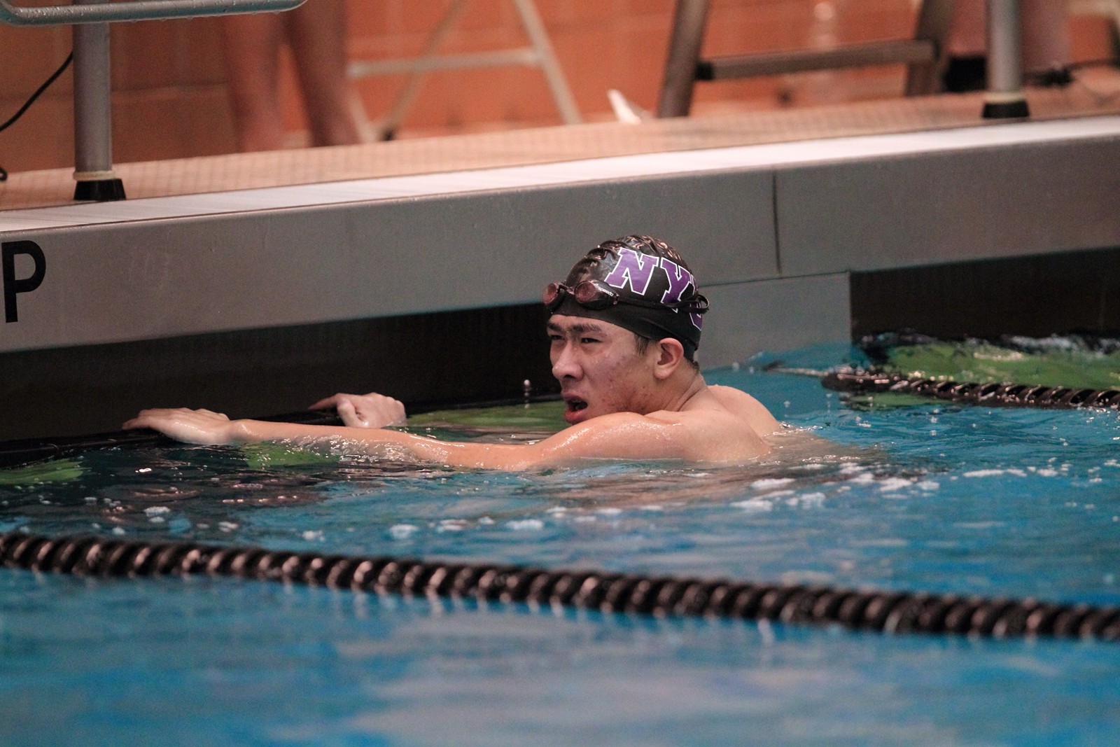 Jason Bo - 2015-16 - Men's Swimming & Diving - NYU Athletics