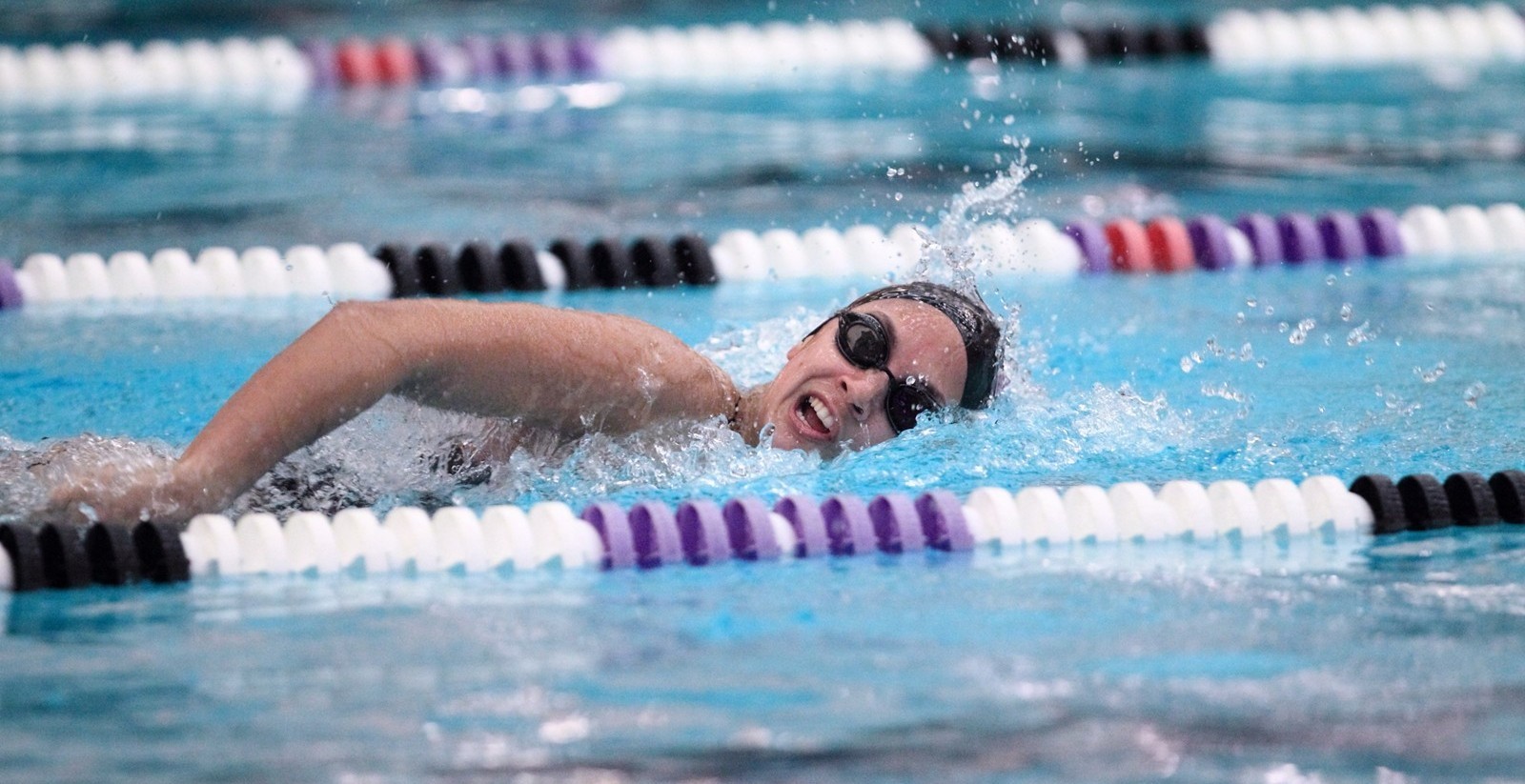 Sydney Pereira - 2014-15 - Women's Swimming & Diving - NYU Athletics