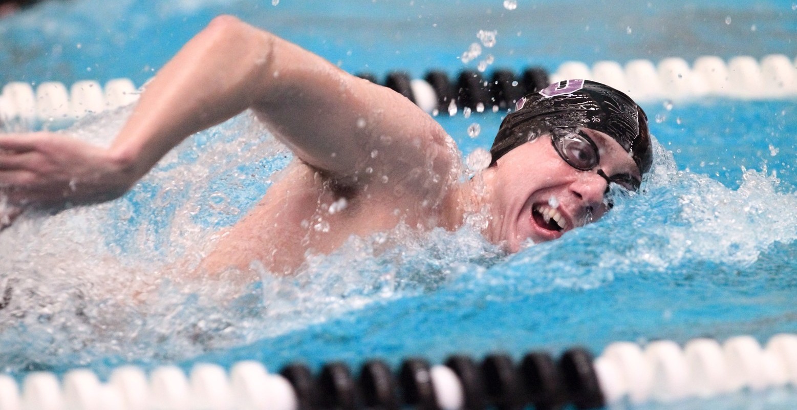 Frank Bozzi - 2015-16 - Men's Swimming & Diving - NYU Athletics