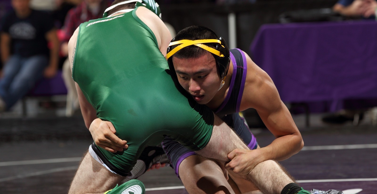 Wayne Yuan - 2015-16 - Wrestling - NYU Athletics