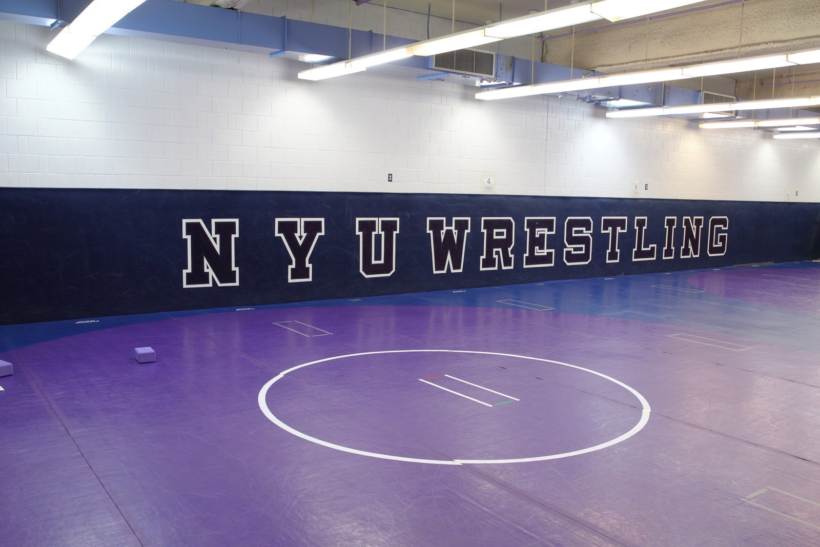 Troy Edwards - 2017-18 - Wrestling - NYU Athletics