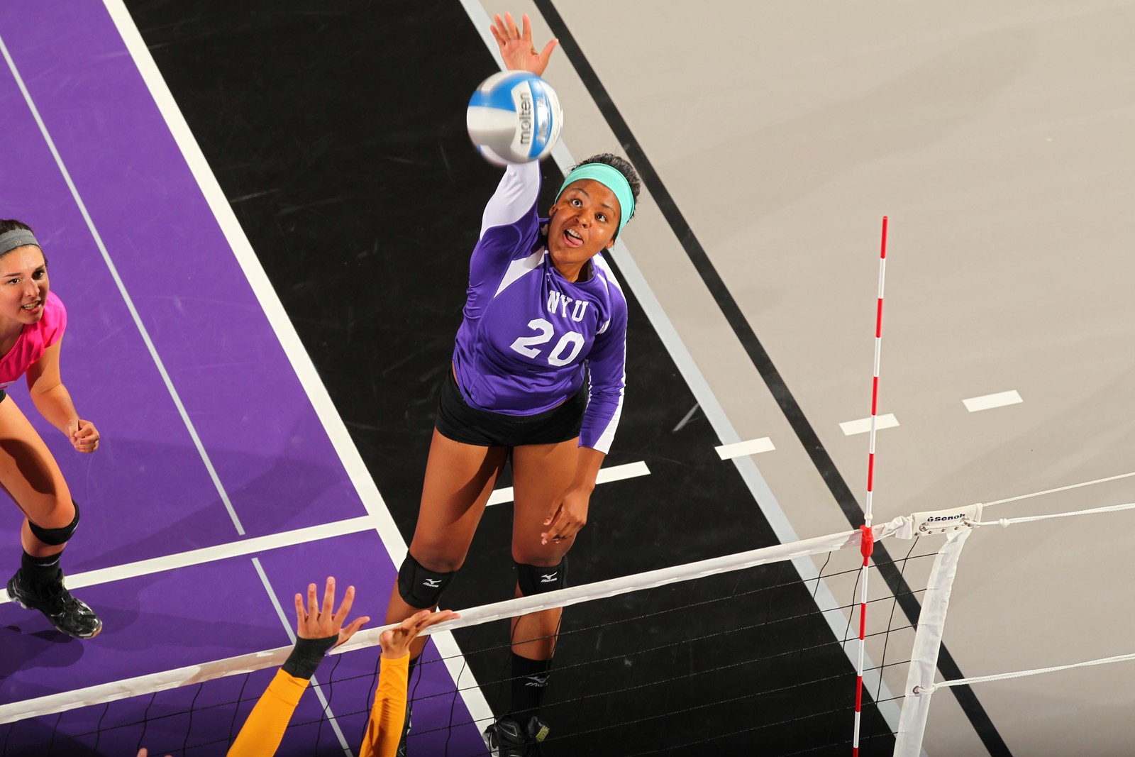 Alexis Jackson - 2015 - Women's Volleyball - NYU Athletics