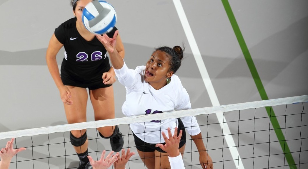 Alexis Jackson - 2015 - Women's Volleyball - NYU Athletics