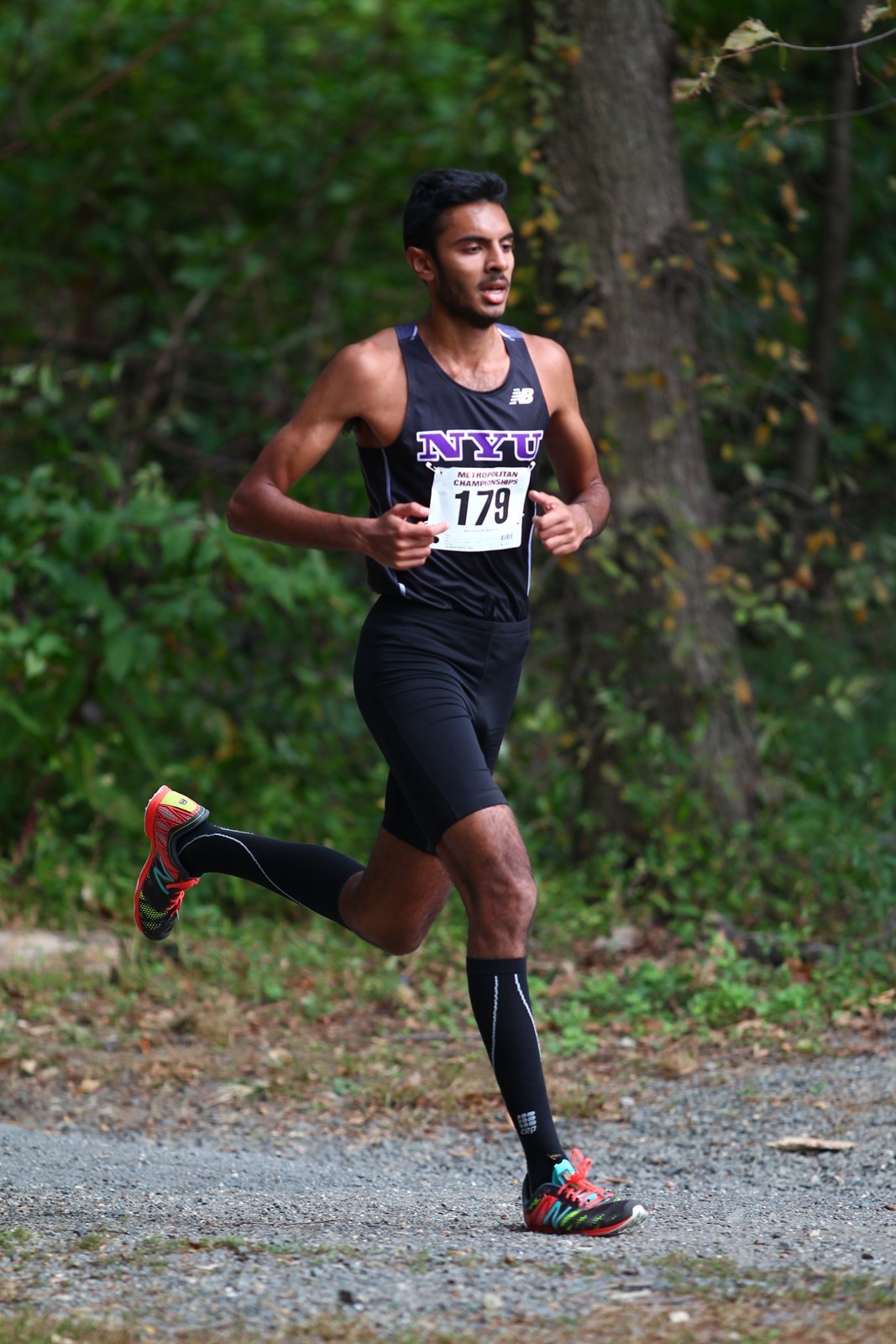 Sam Praveen - 2017 - Men's Cross Country - NYU Athletics