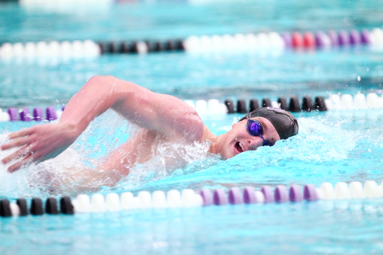 Austin Palmer - 2015-16 - Men's Swimming & Diving - NYU Athletics