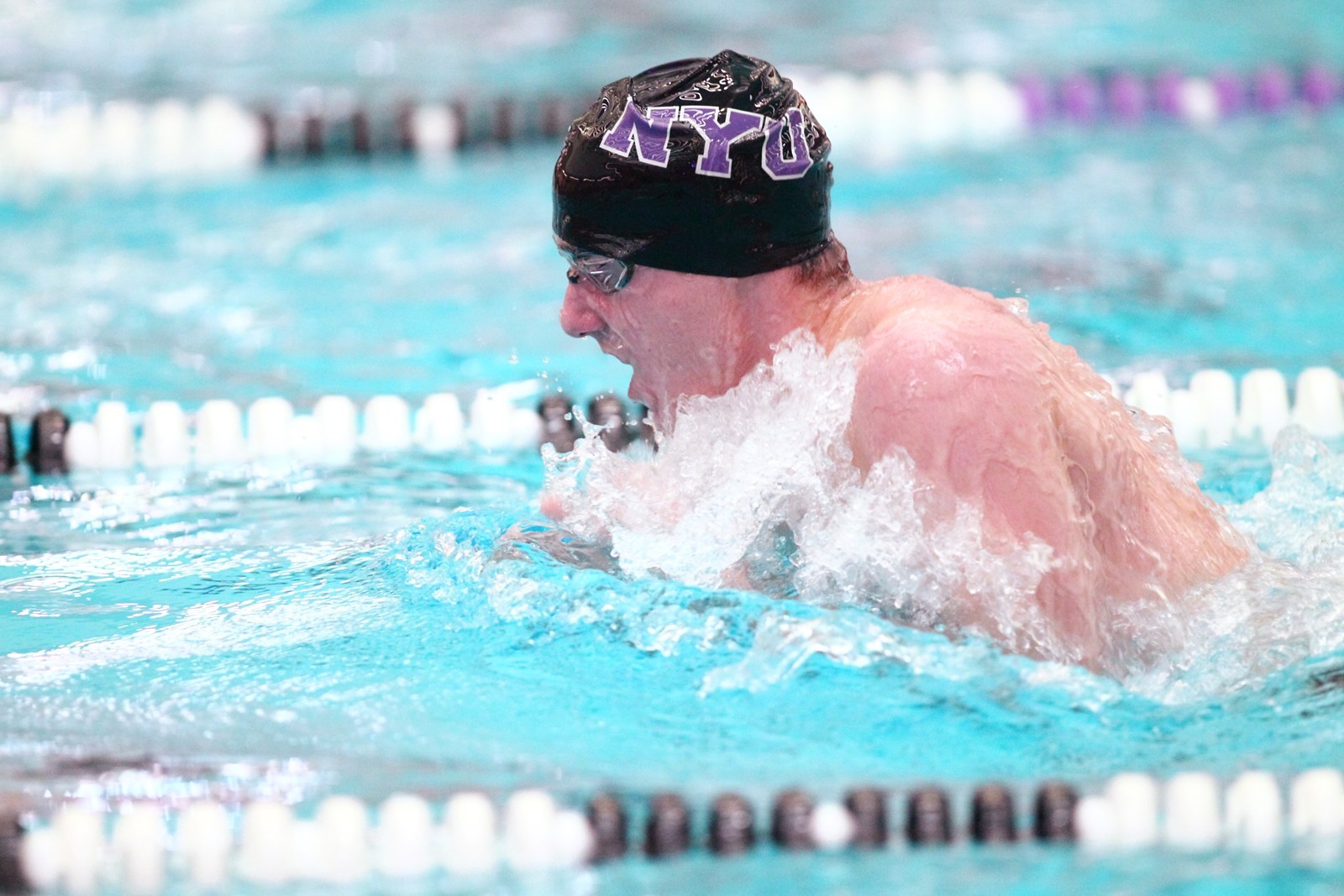 Frank Bozzi - 2015-16 - Men's Swimming & Diving - NYU Athletics