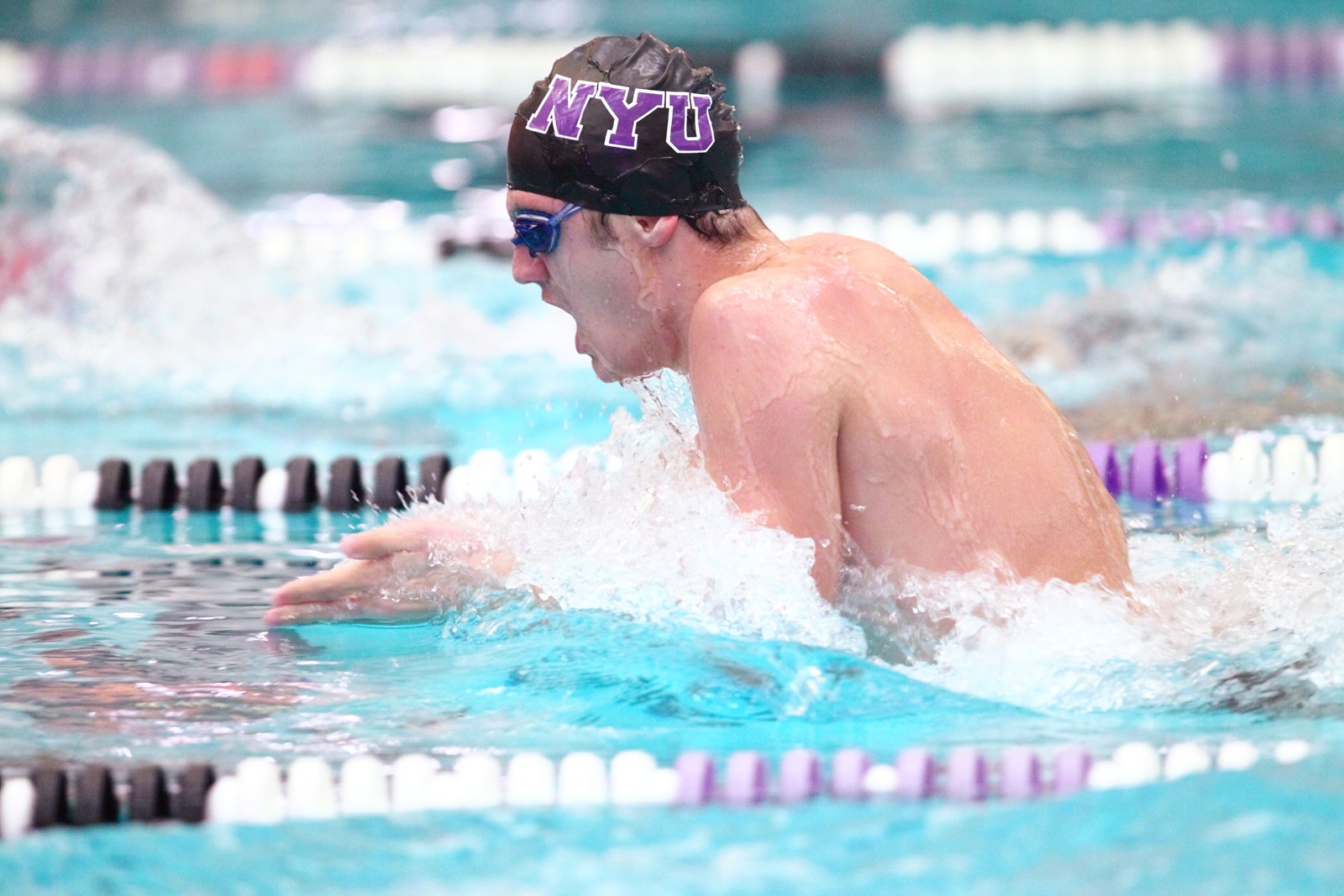 Reid Hensen - 2016-17 - Men's Swimming & Diving - NYU Athletics